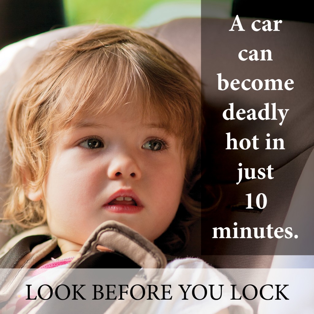 kids being left in cars - Sprint Driving School